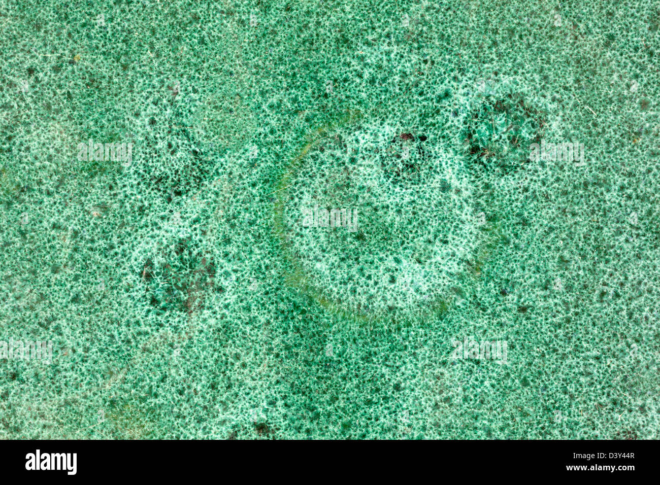 Mottled green hi-res stock photography and images - Alamy