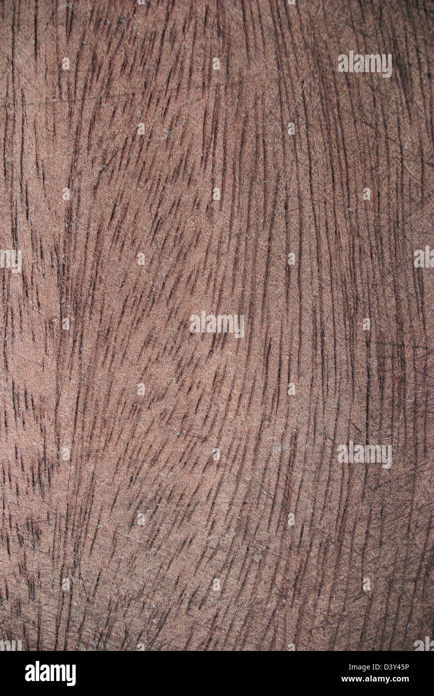 Wood texture smooth stripes hi-res stock photography and images - Alamy