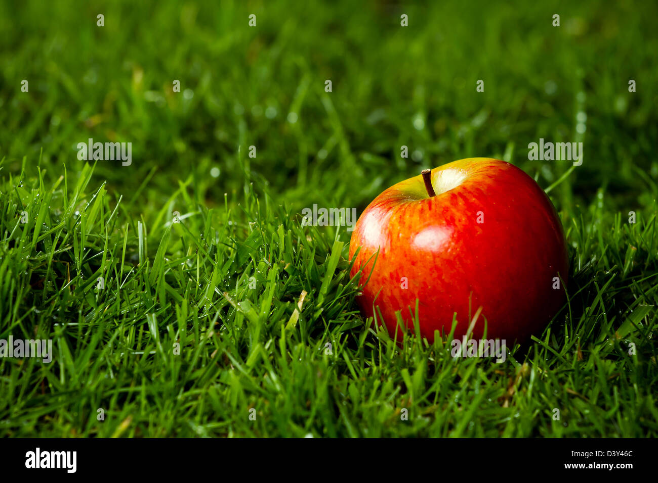 Red apple laying on the grass Stock Photo - Alamy