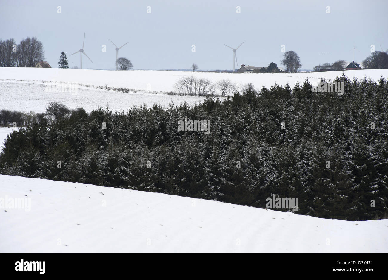 Open farming landscape with spruce plantation and wind power stations ...