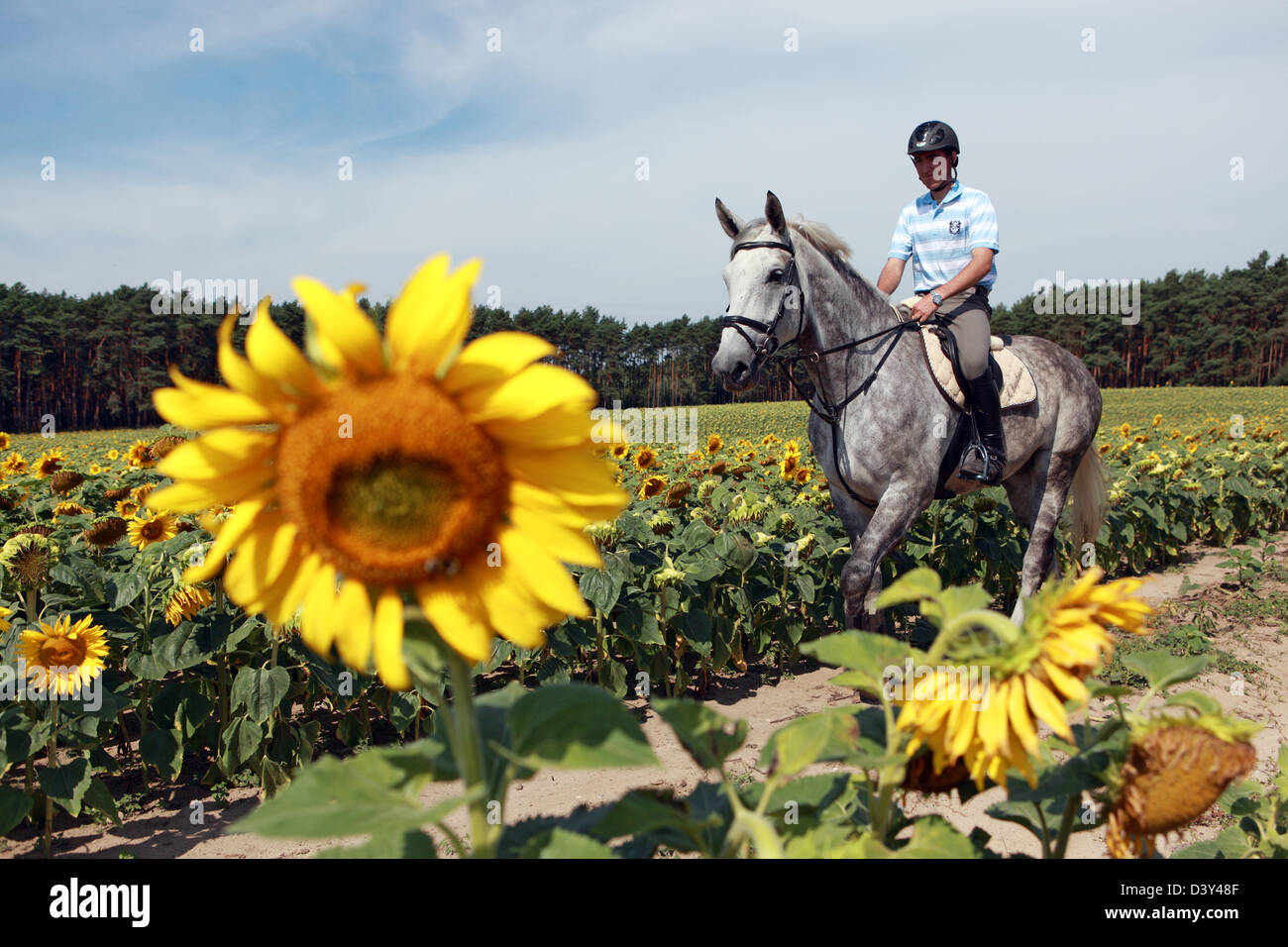 Menz hi-res stock photography and images - Alamy