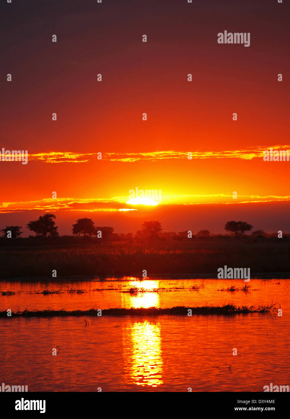 Sunset at Chobe river, Botsuana Stock Photo - Alamy
