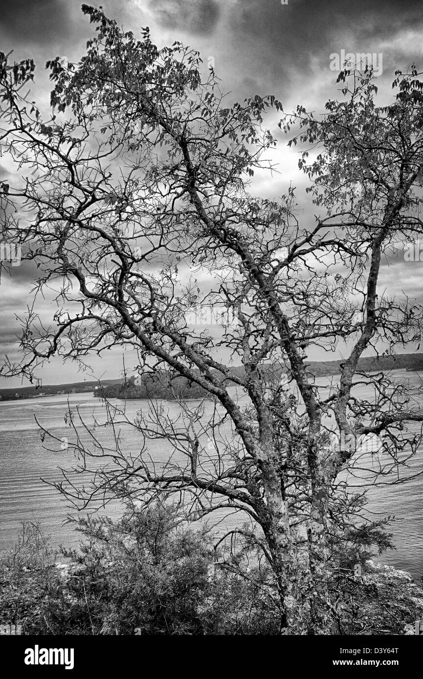 Rocky trail high in Black and White Stock Photos & Images - Alamy