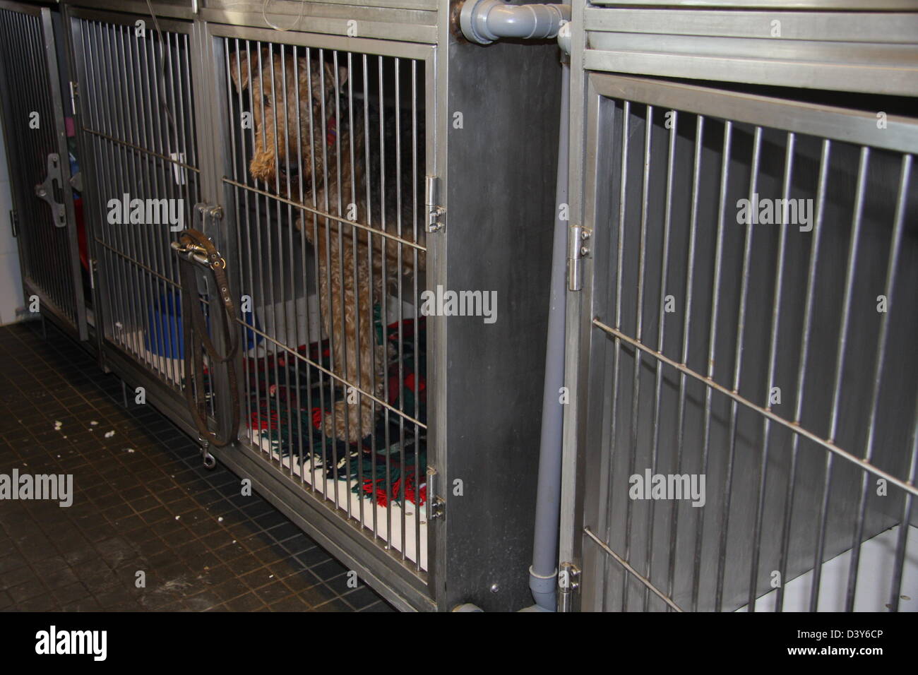 Stage cage hi-res stock photography and images - Alamy