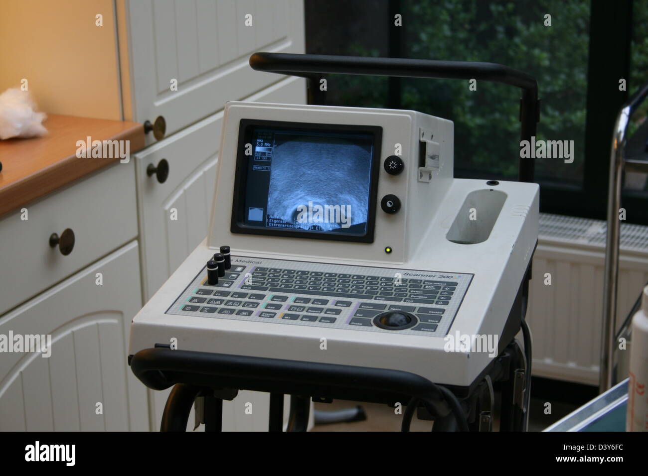 Vet looking screen monitor clinic hi-res stock photography and images ...