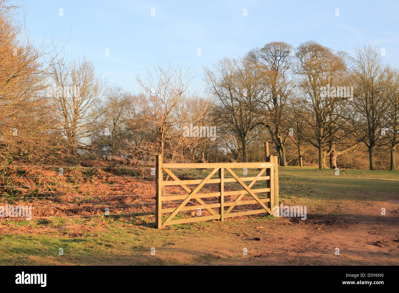 Fivebar hi-res stock photography and images - Alamy