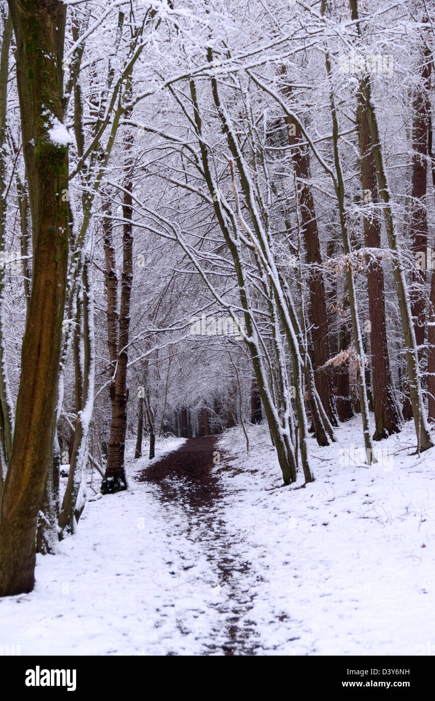 Frosty lining hi-res stock photography and images - Alamy