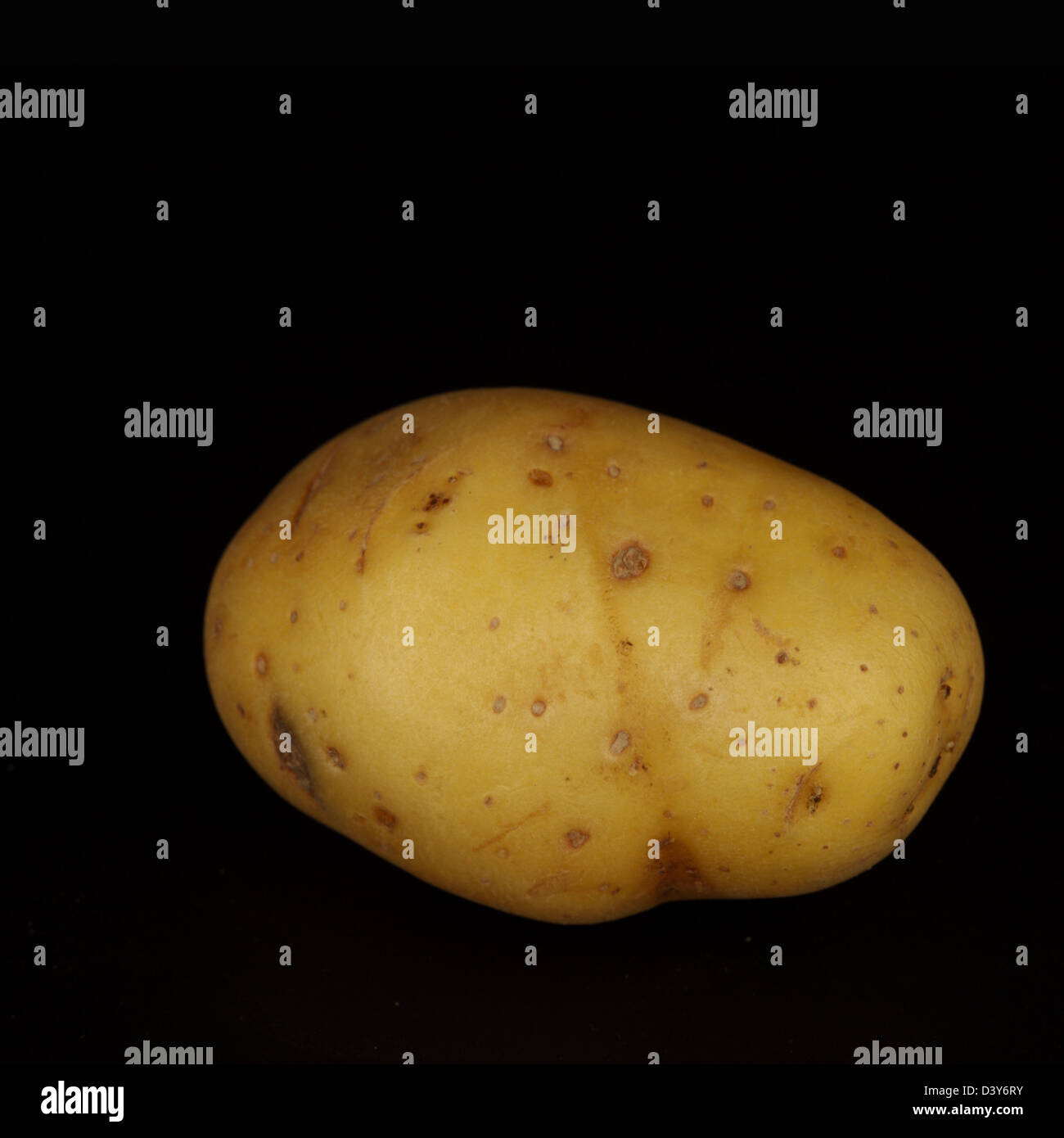 One potato on black Stock Photo - Alamy