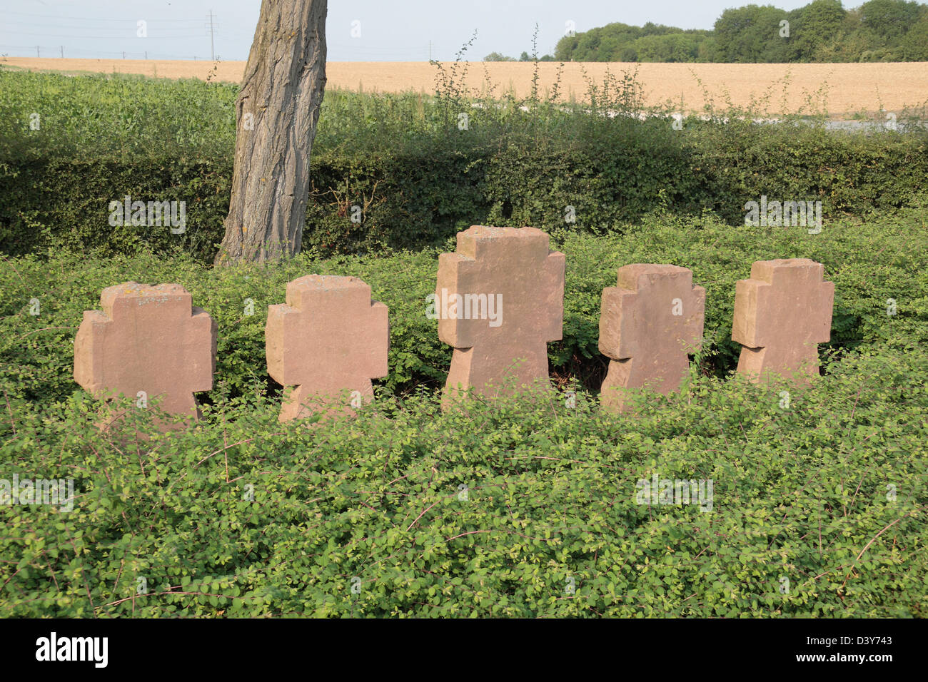 Line of memorial crosses on a mass grave in the German Cemetery ...