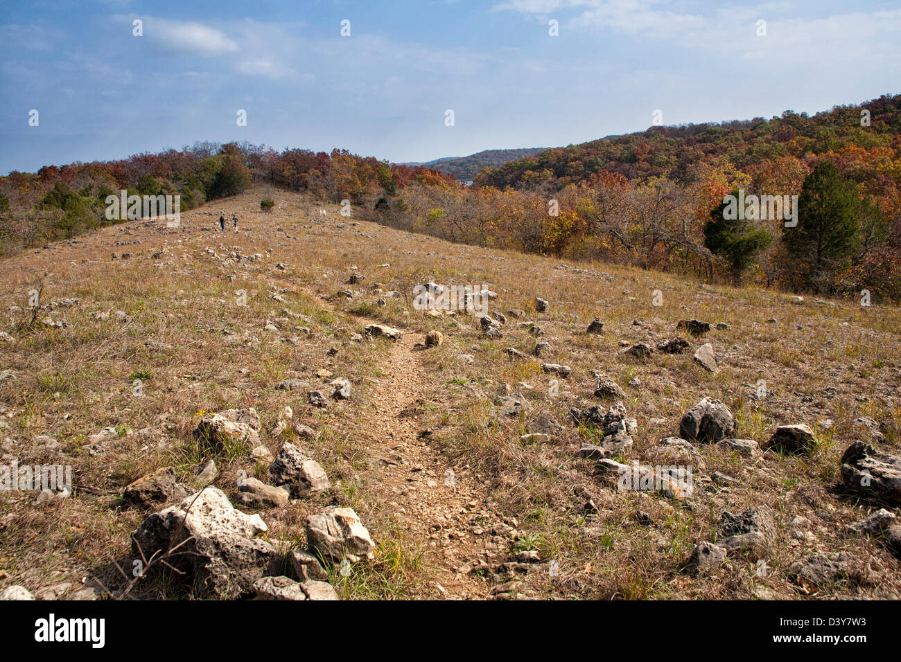 Rocky Top Trail - Lake of the Ozarks State Park Stock Photo - Alamy