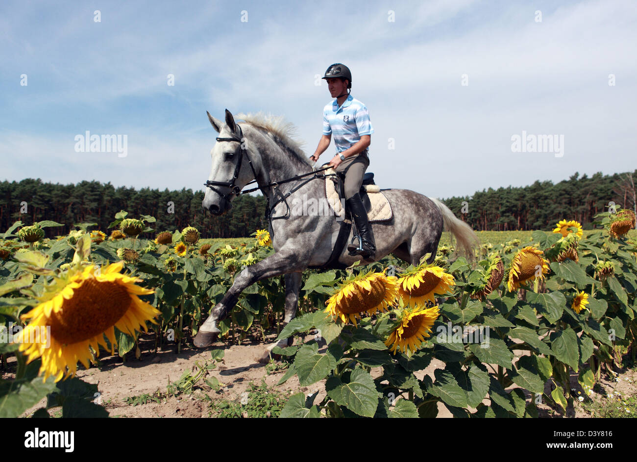 Menz, Germany, riders on horseback Stock Photo - Alamy