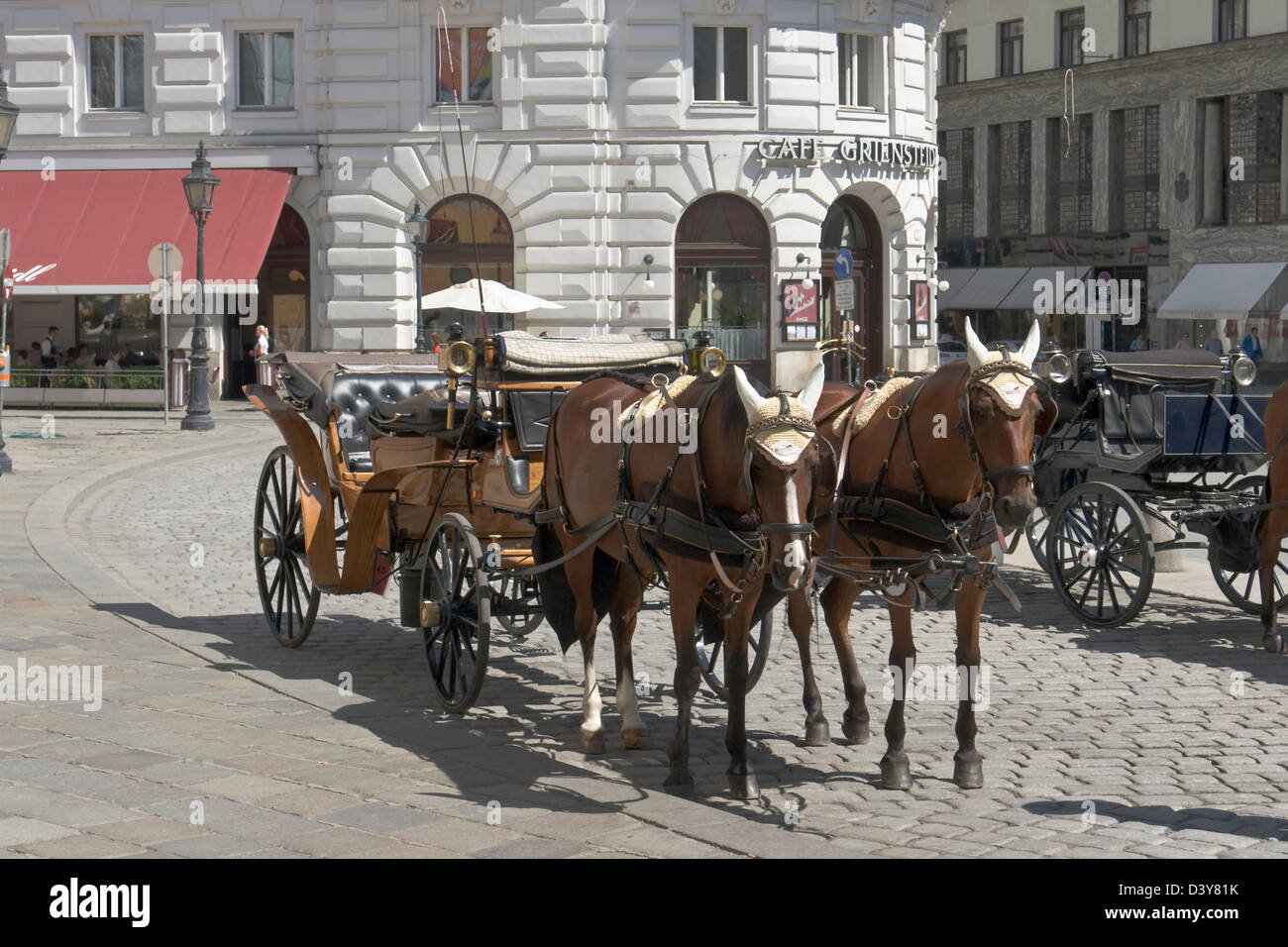 Fiaker in Vienna Stock Photo - Alamy