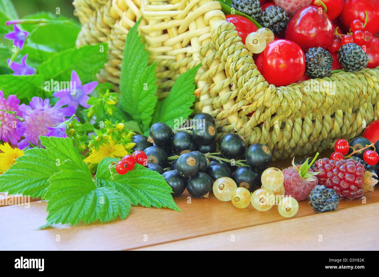 Raspberry black currant berries hi-res stock photography and images - Alamy