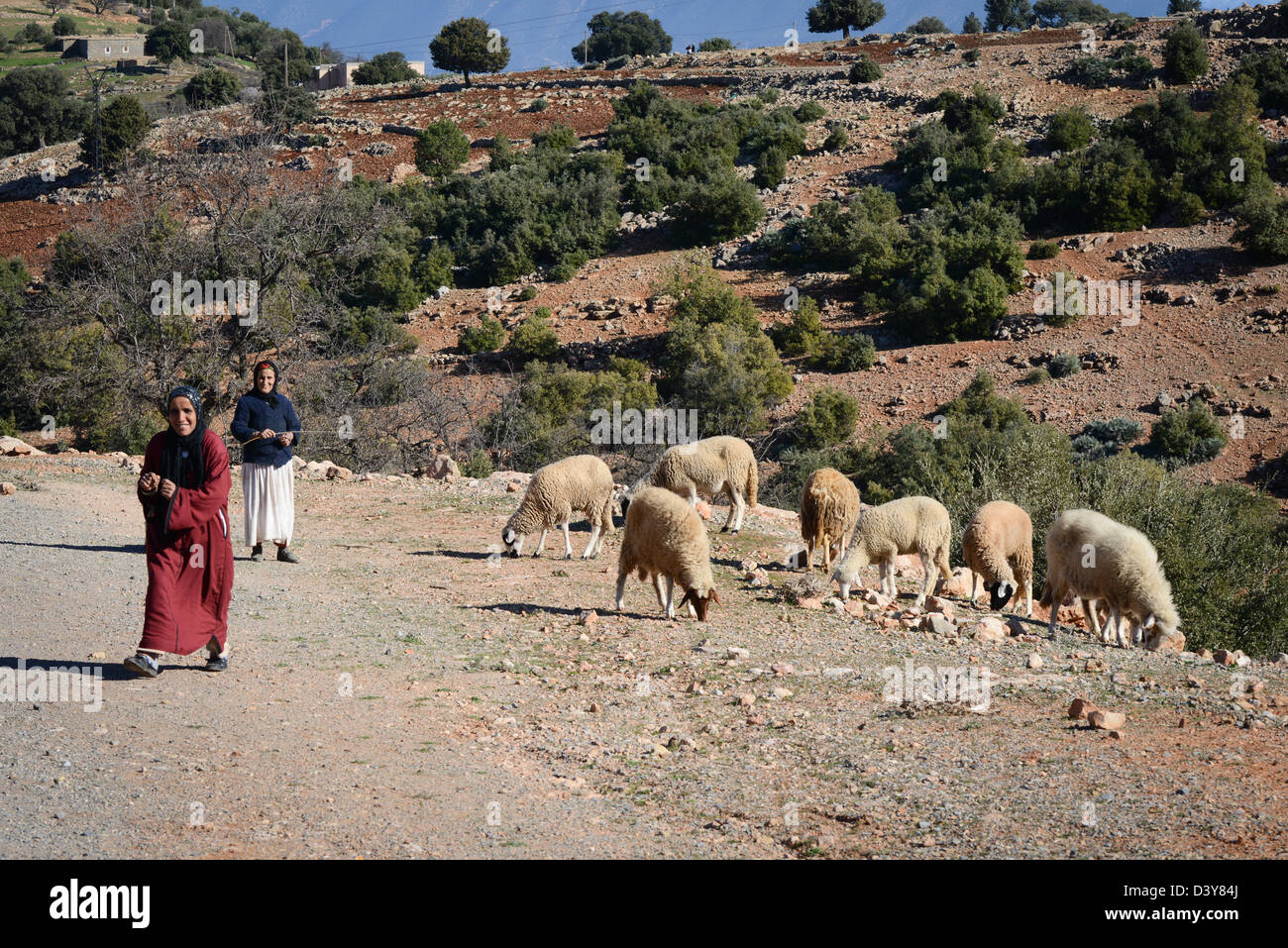 Berber family hi-res stock photography and images - Alamy