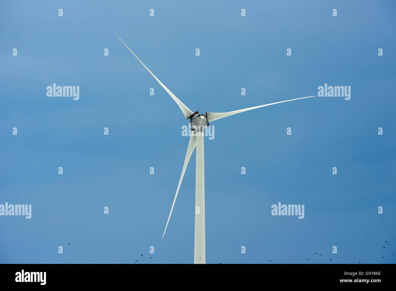 Wind power station on windy winter fields in an open landscape Stock ...