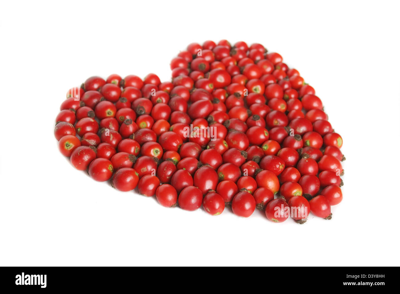 Heart sign of hip berries isolated on white Stock Photo - Alamy