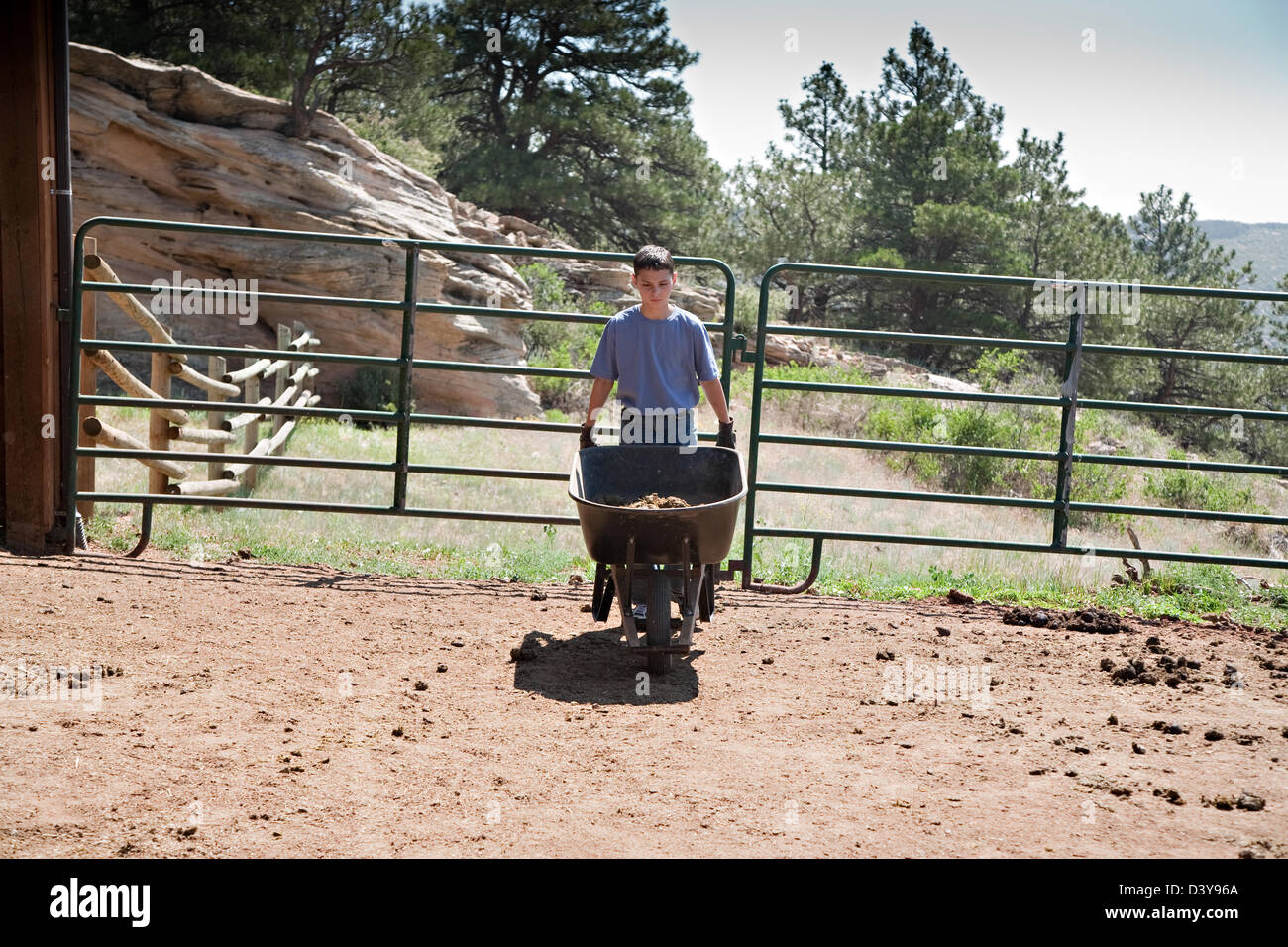 Young boy doing chores on ranch or farm Stock Photo - Alamy