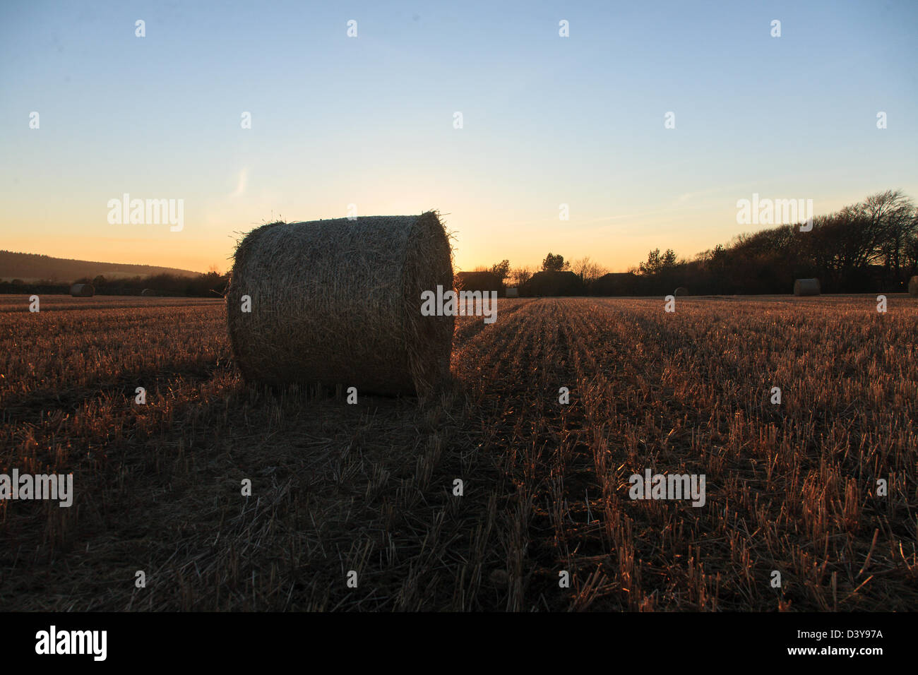 Hay bale at sunset Stock Photo - Alamy