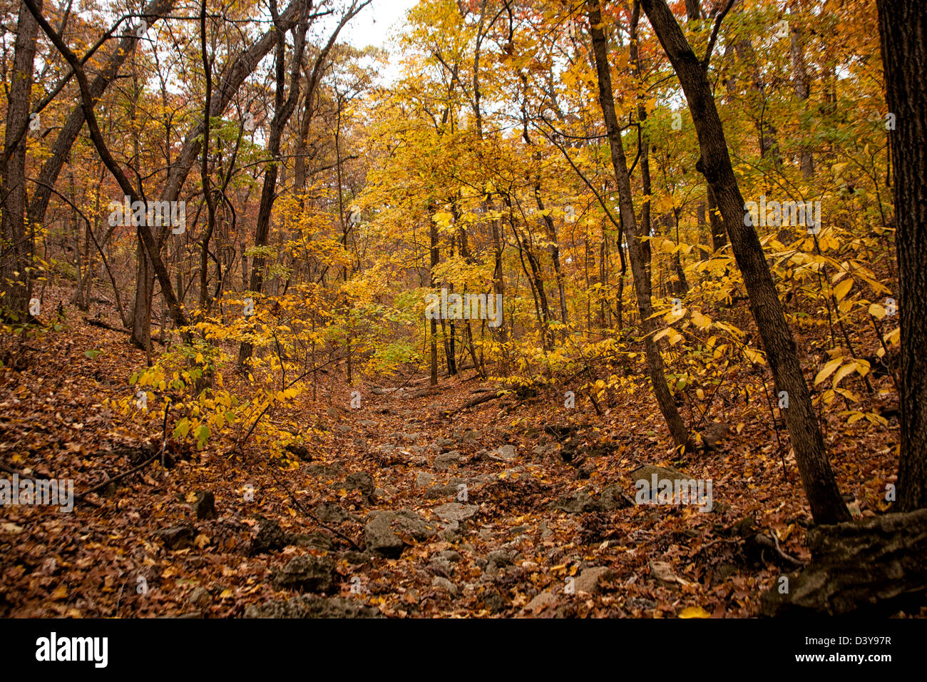 Ozarks hi-res stock photography and images - Alamy