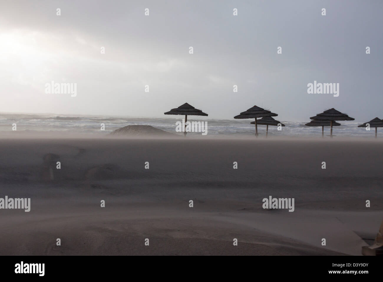 Storm day in the beach Stock Photo - Alamy