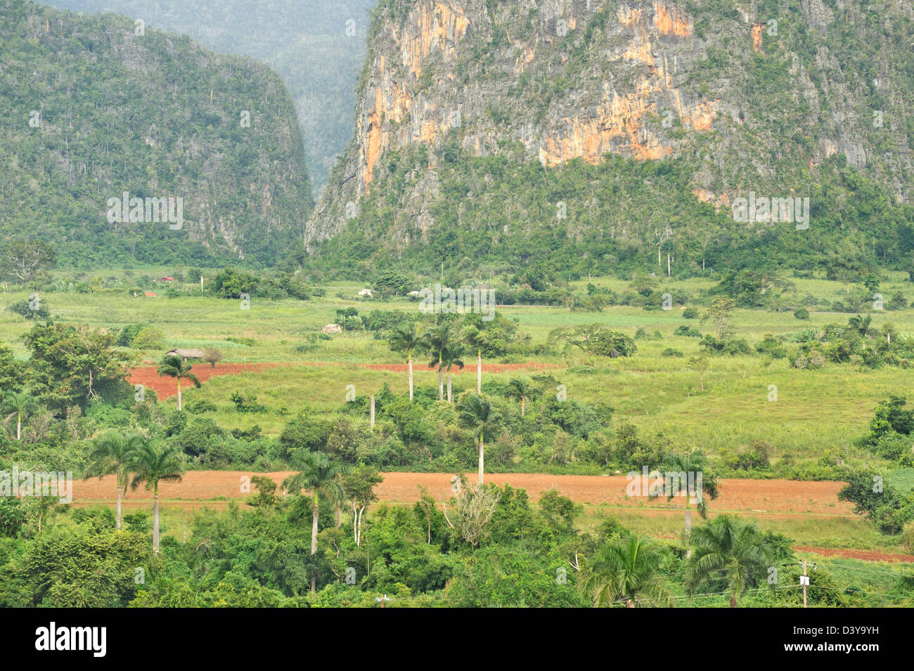 Landscape near Vinales, Pinar del Rio Province, Cuba Stock Photo - Alamy