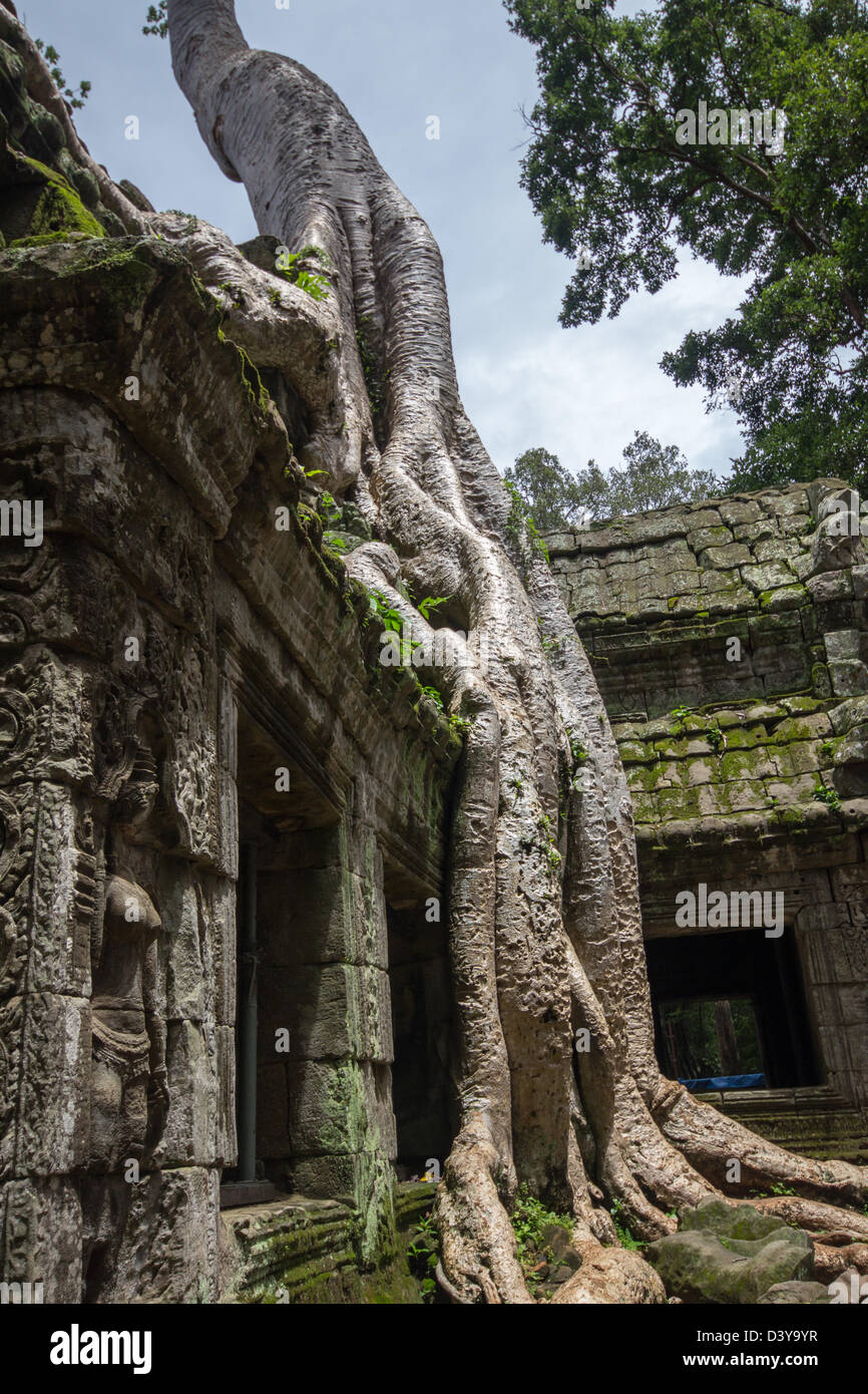 Tomb raider set hi-res stock photography and images - Alamy