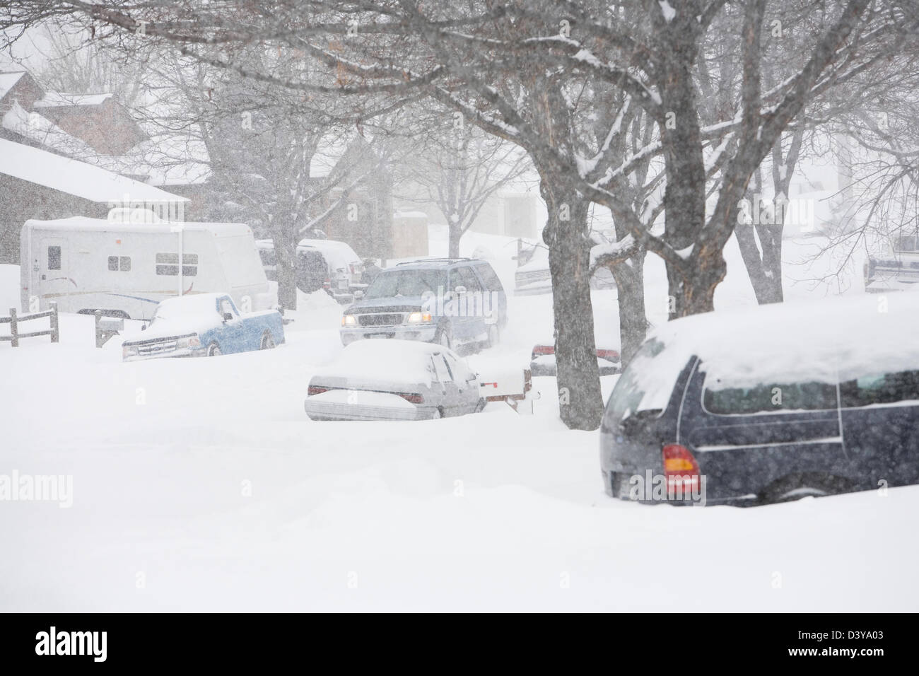 Shots from Colorado blizzard - snow covers all identifying marks on ...