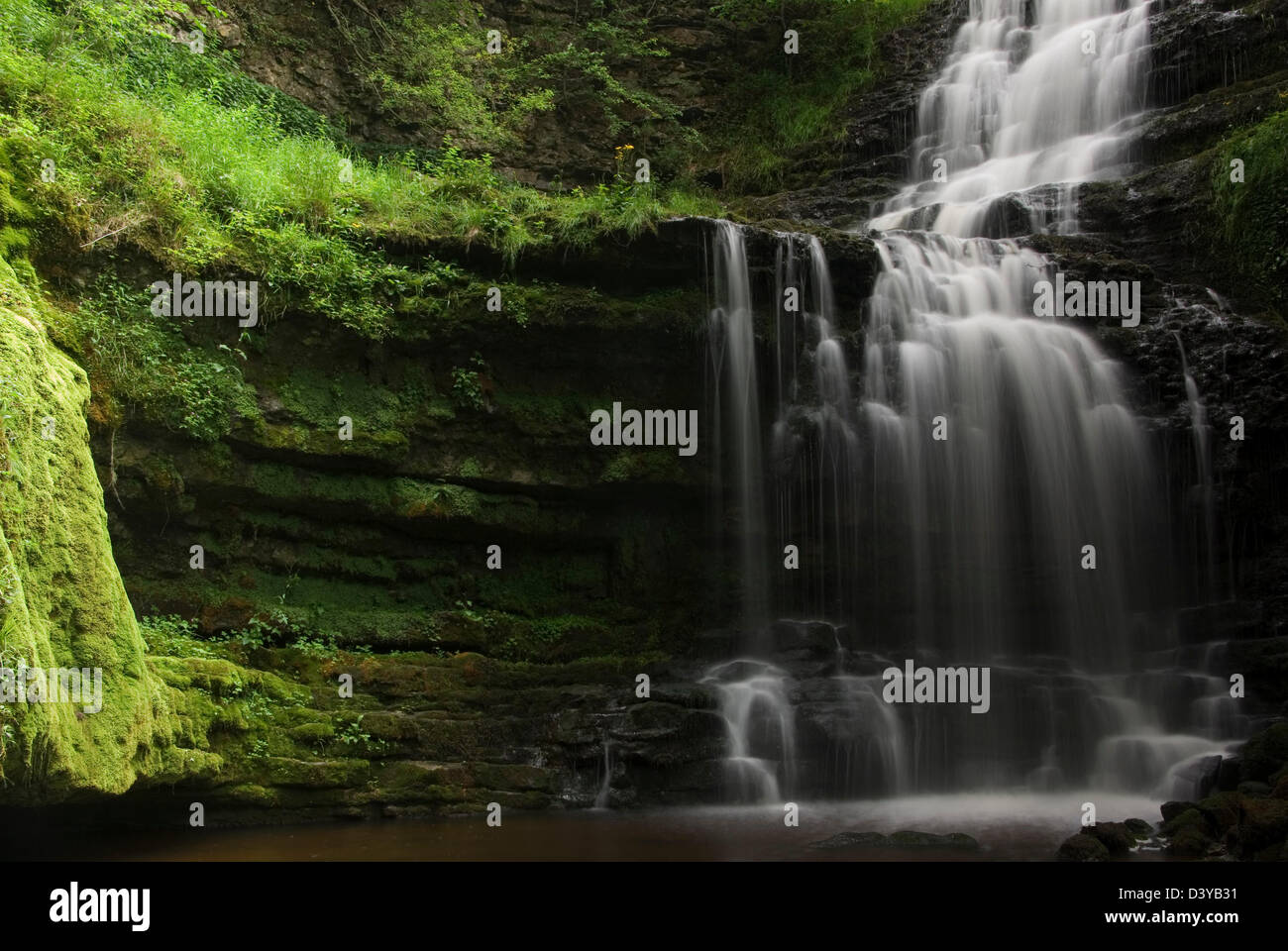 Scaleber falls summer hi-res stock photography and images - Alamy