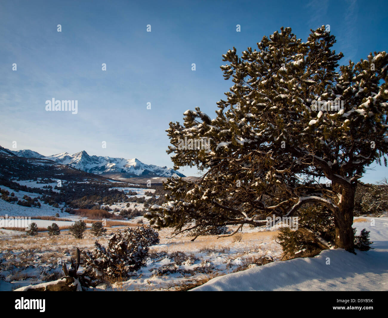 Spectacular Dallas Divide on a winter morning Stock Photo - Alamy