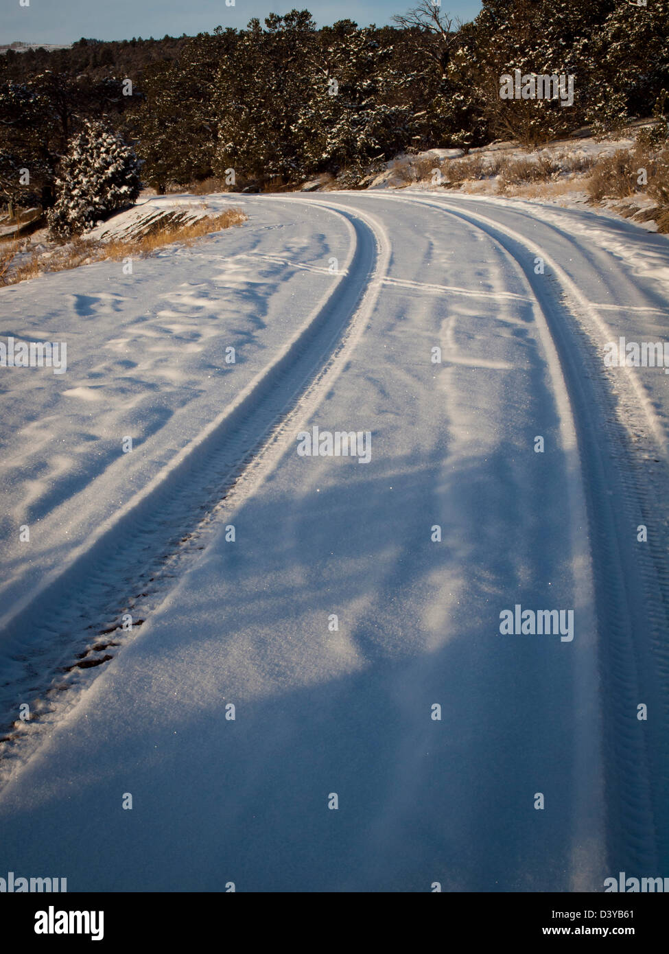 Winter road on the ranch near Dallas Divide Stock Photo - Alamy