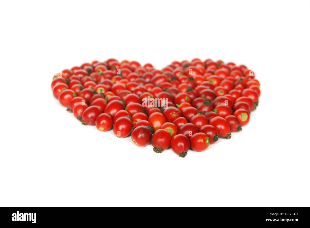 Spice garden with sign Cut Out Stock Images & Pictures - Alamy