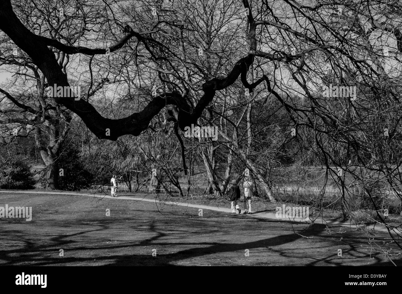 Sunny spring day on Black and White Stock Photos & Images - Alamy