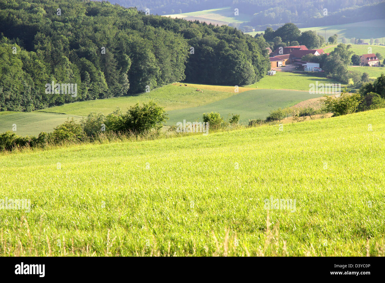 A typical german landscape with different fields and a forest Stock ...