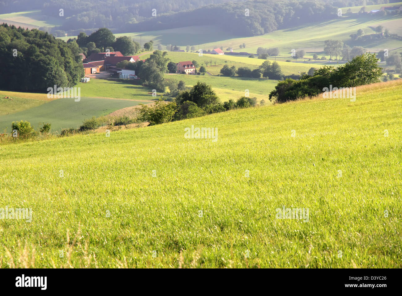 A typical german landscape with different fields and a forest Stock ...