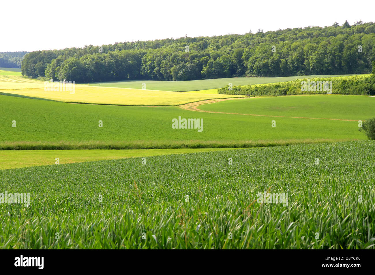 A typical german landscape with different fields and a forest Stock ...
