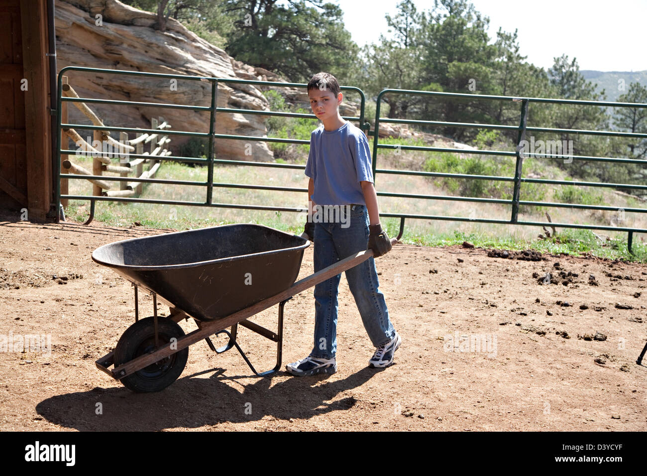 Children on farm chores hi-res stock photography and images - Alamy
