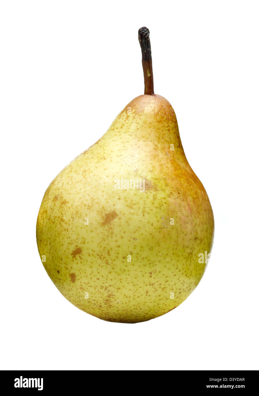 Pear on a white background Stock Photo - Alamy