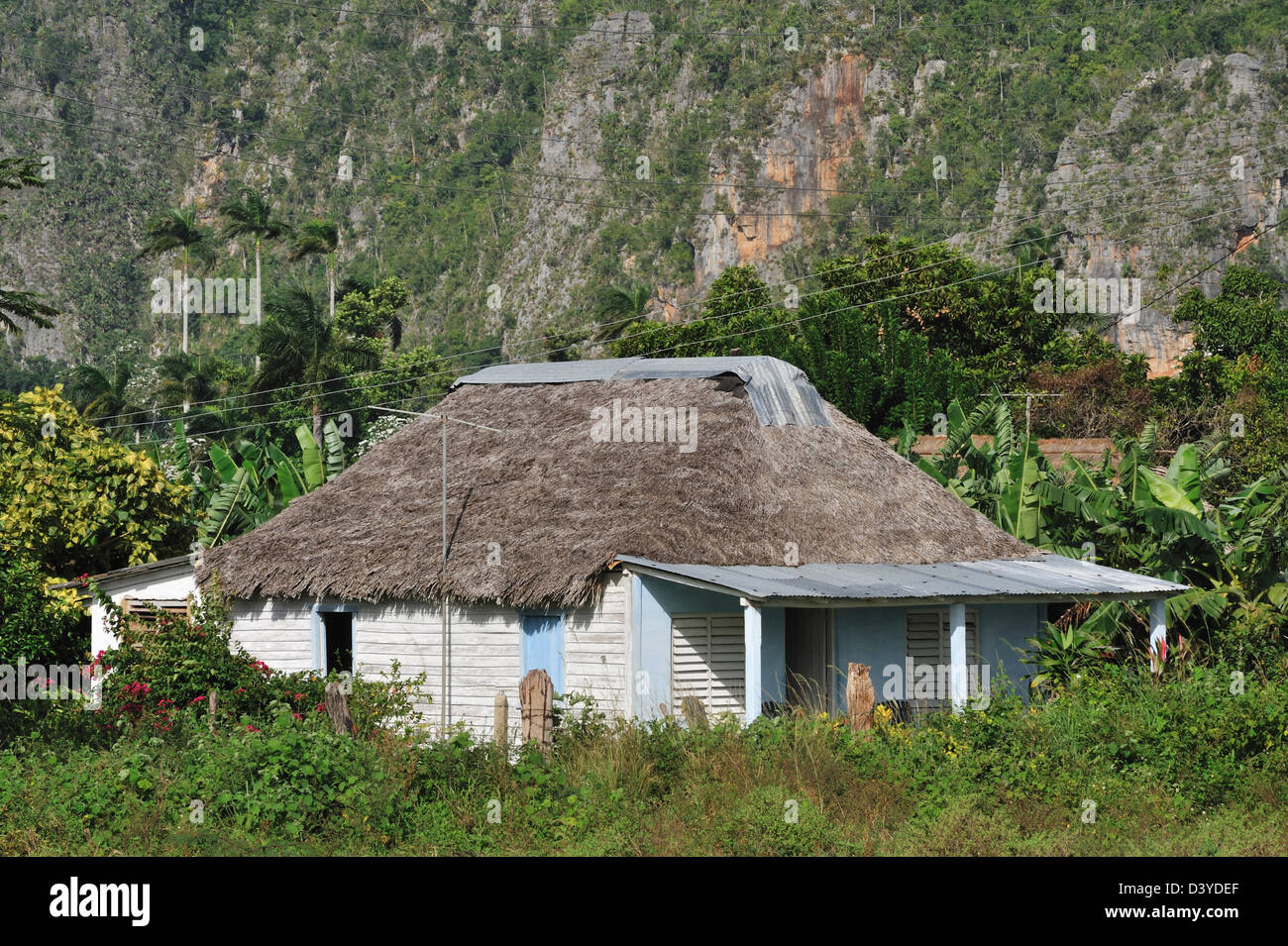 Traditional architecture in a farm, Pinar del Rio Province, Cuba Stock ...