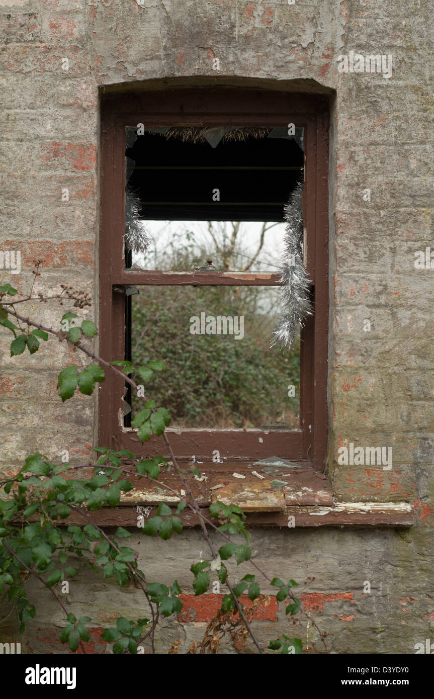 Broken window of derelict abandoned house with christmas tinsel hanging ...