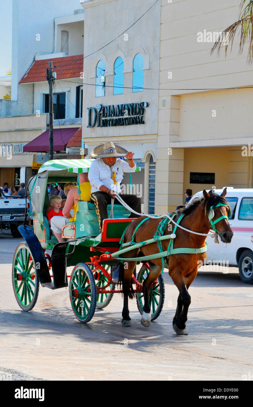 Carriage Ride Cozumel Mexico Excursion Horses Stock Photo - Alamy