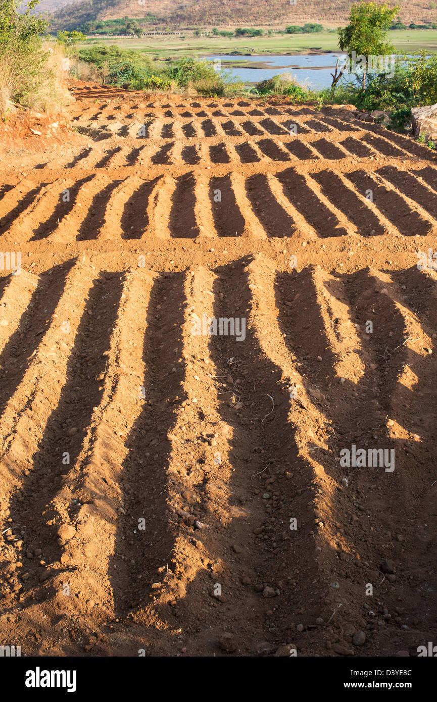 India plough mud row hi-res stock photography and images - Alamy