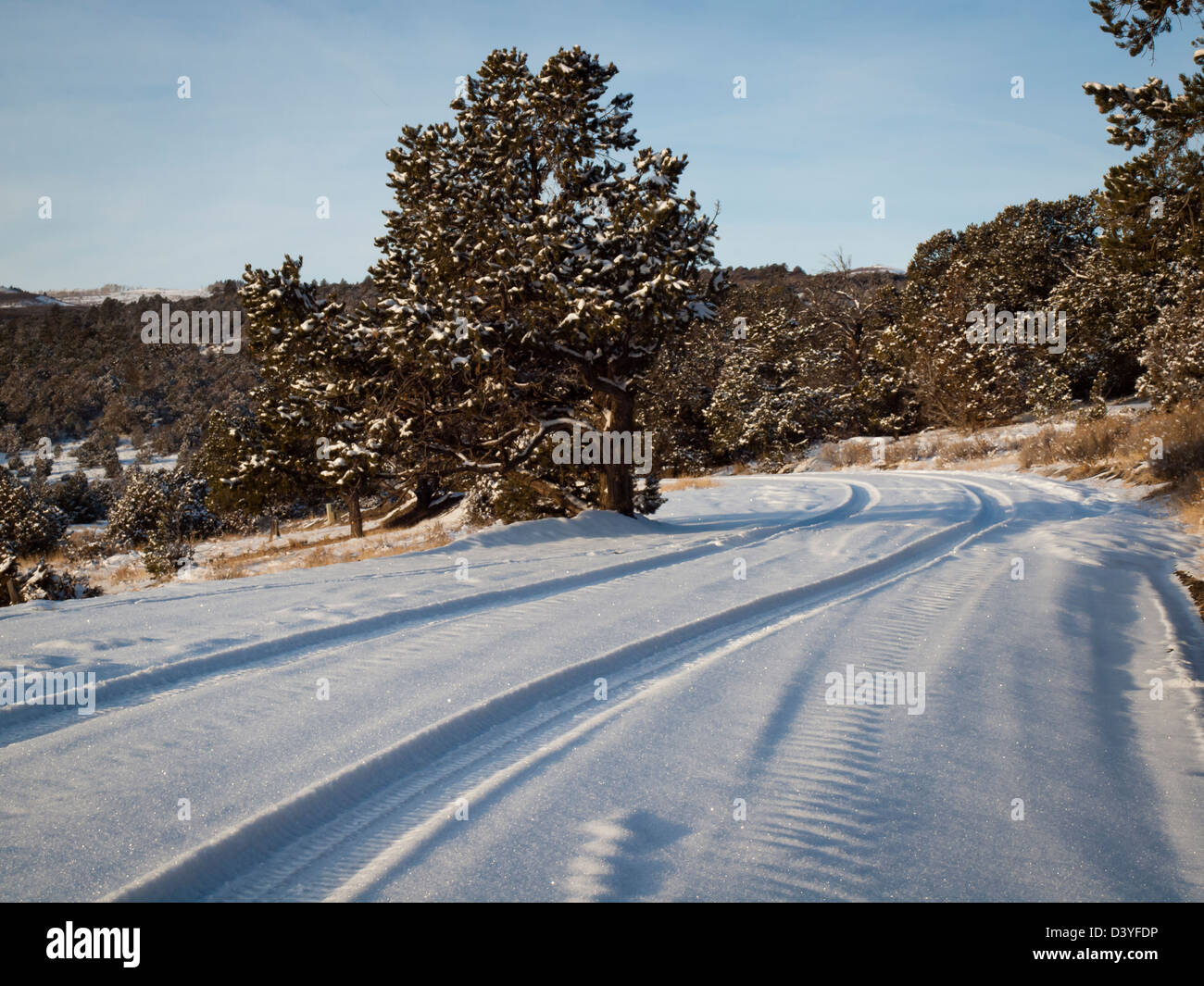 Winter road on the ranch near Dallas Divide Stock Photo - Alamy
