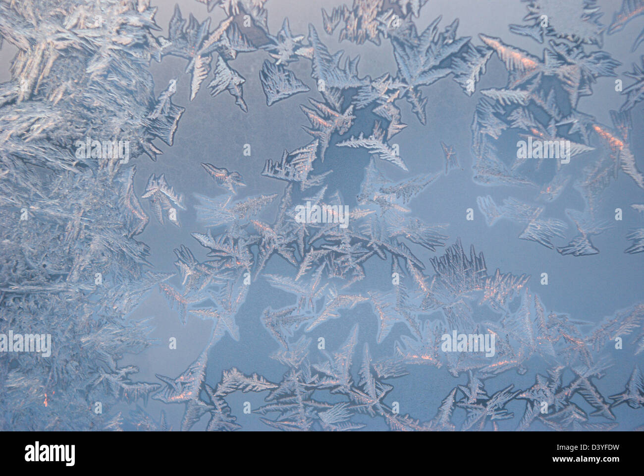 Ice on window,winter icy patterns,icy drawings Stock Photo - Alamy