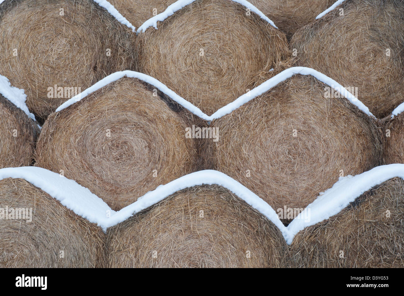 Round hay bales in snow hi-res stock photography and images - Alamy
