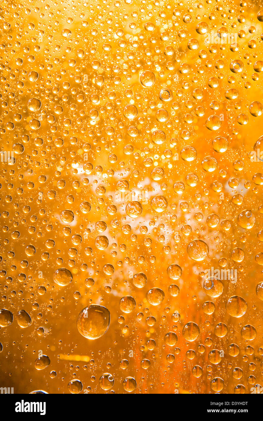 golden water droplets background .close up of water drops Stock Photo ...