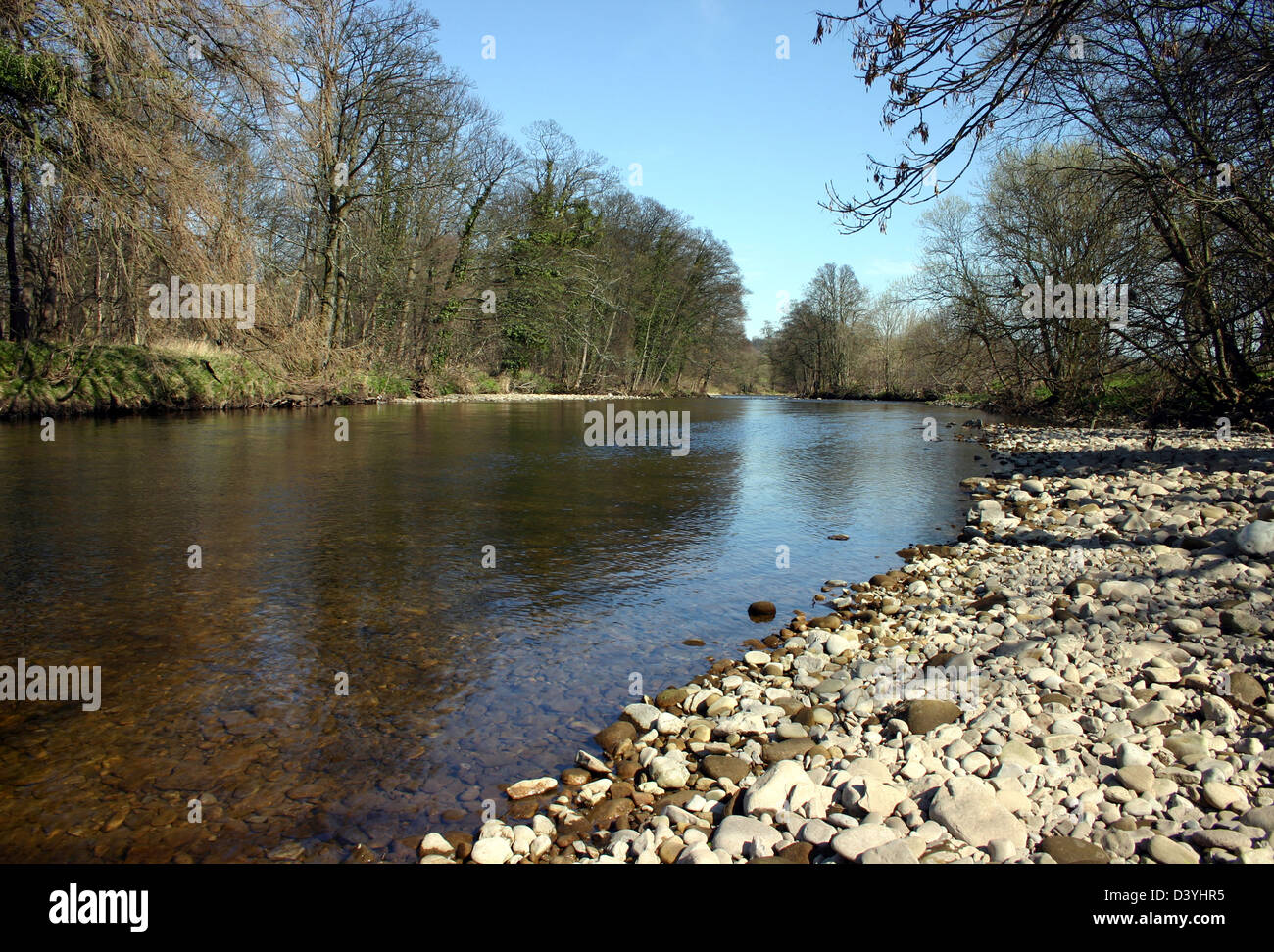 A wide and shallow river Ure flows through Wensleydale in North ...