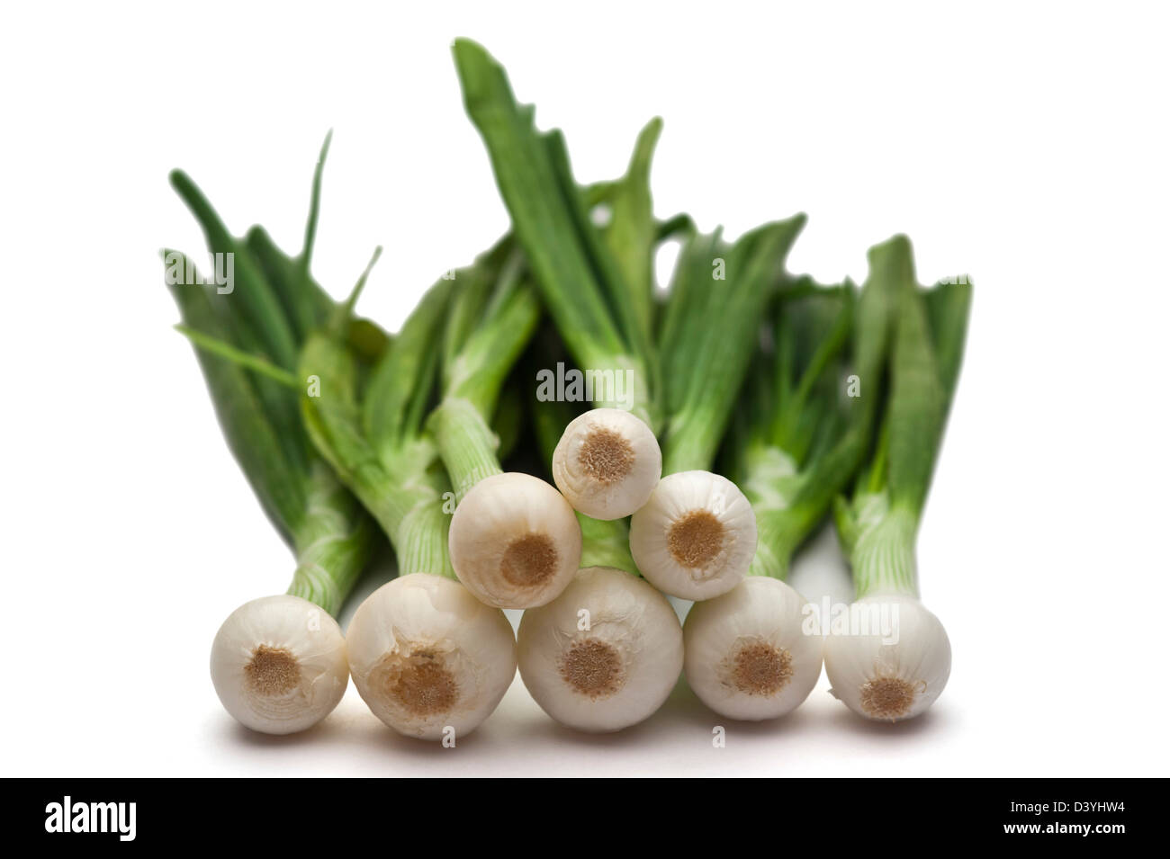 Close-up of bunch of spring onions Stock Photo - Alamy