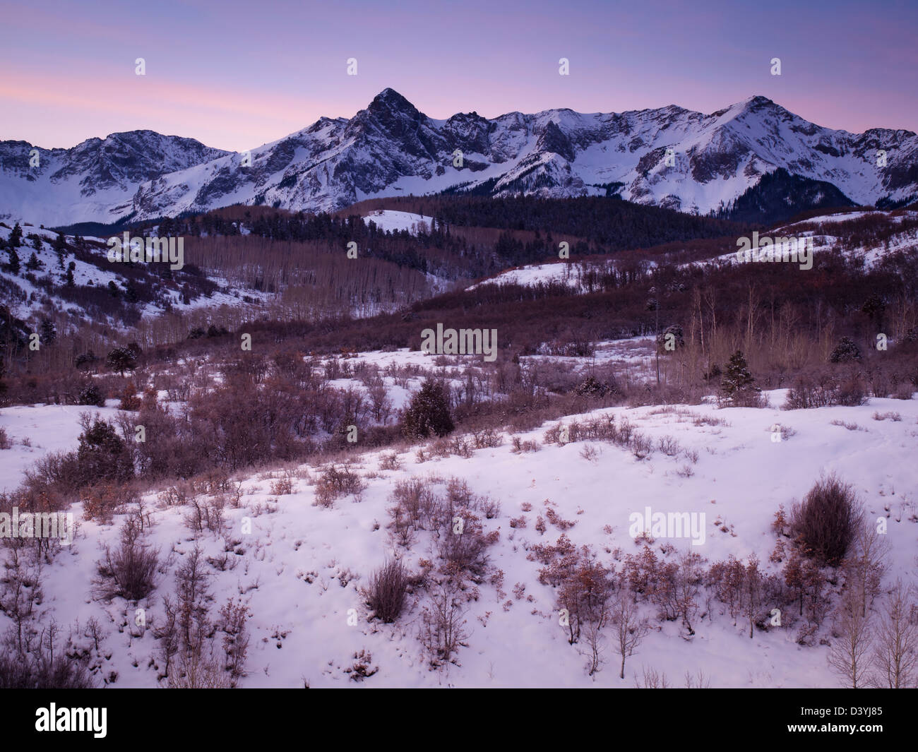 Sneffles range trees hi-res stock photography and images - Alamy