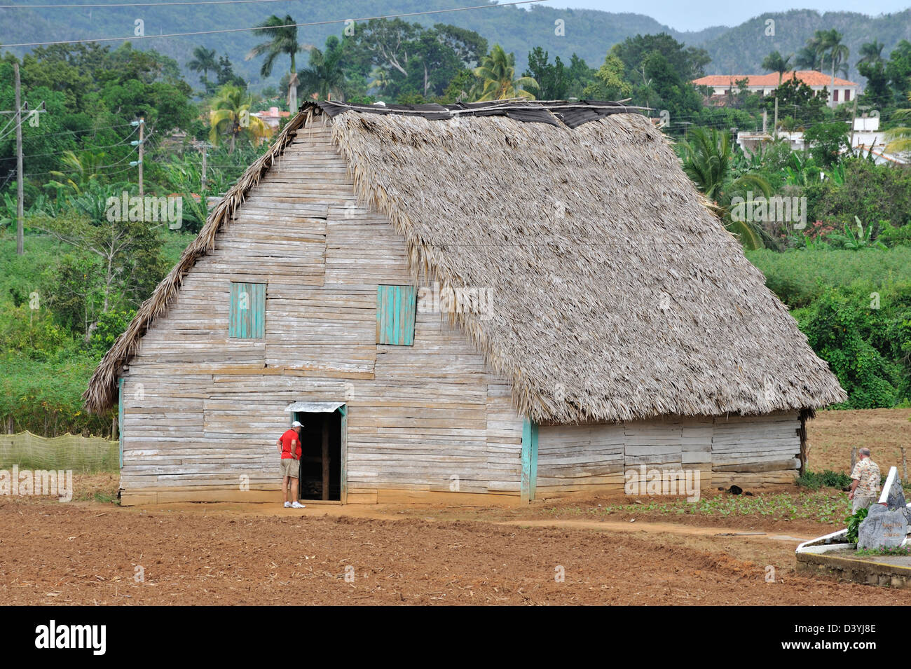 Traditional architecture in a farm, Pinar del Rio Province, Cuba Stock ...