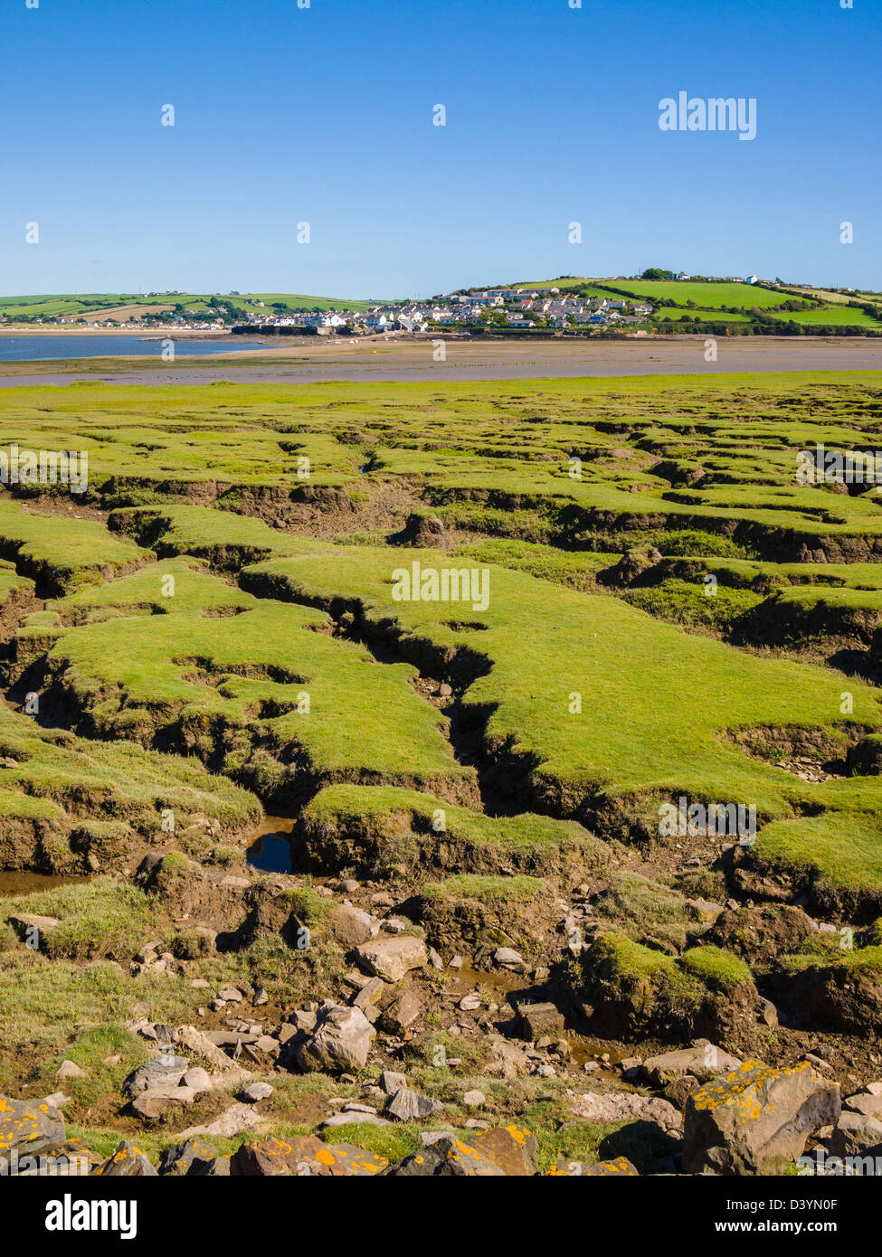 Burrows Marsh High Resolution Stock Photography and Images - Alamy